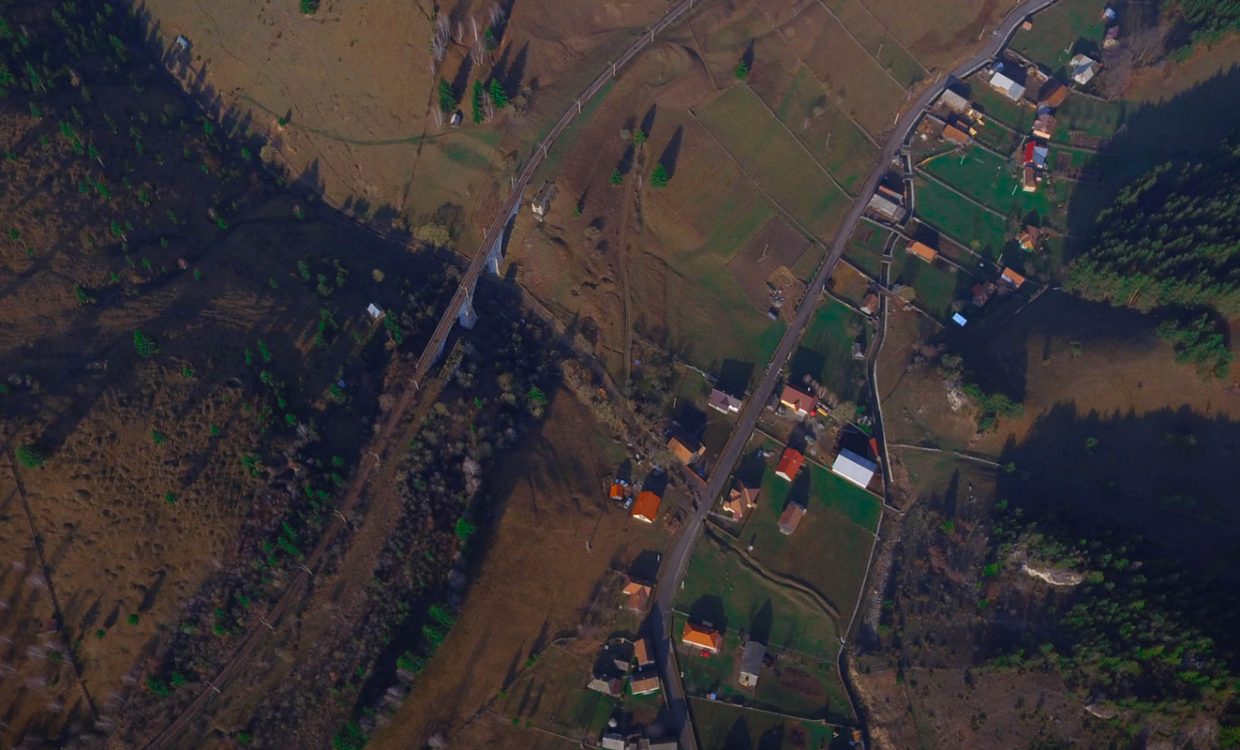 Lunca de Sus – Regele Cavaler